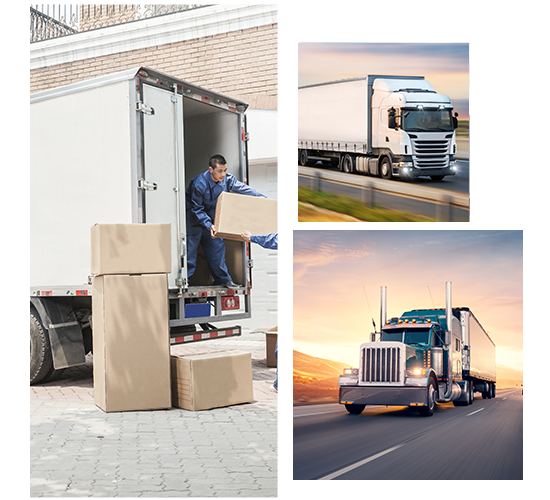 Servicios – Taurel